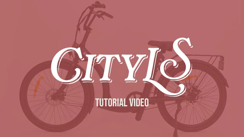 City LS | LTA 26" Largest Wheel City Electric Bicycle | MOBOT
