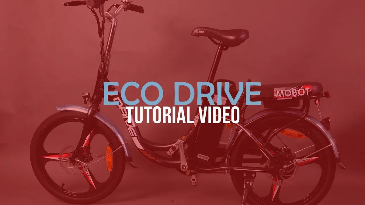 ECO Drive V3 | LTA 48V15AH Delivery Electric Bike | MOBOT