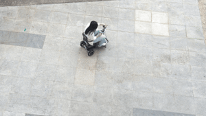 MOBOT | Most Compact Foldable Mobility Aids | FREE Shipping!