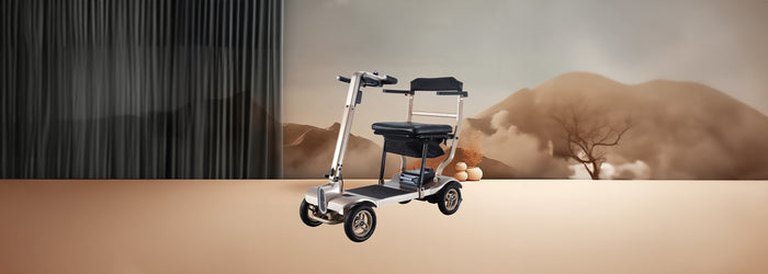 MOBOT | Leader in Personal Mobility