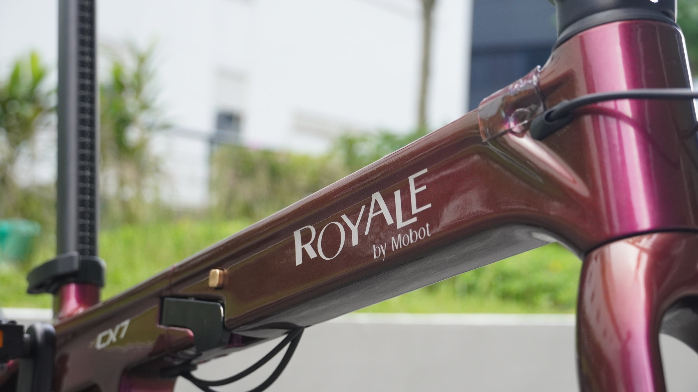 9.1kg Carbon Frame | ROYALE CX7 Carbon Foldable Bicycle