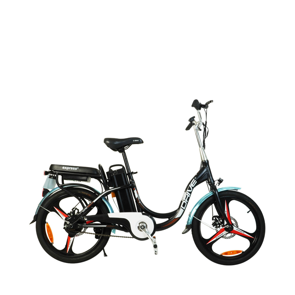 ECO Drive V3 | LTA 48V15AH Delivery Electric Bike | MOBOT