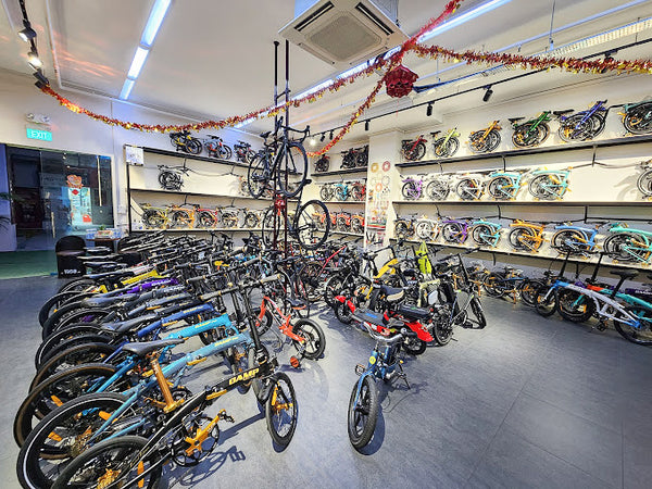 PMD in Singapore | Important Certifications & LTA Rules You Need To Kn